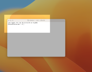 Podman, Oracle Container Registry, and SQLcl – Follow the Coffee