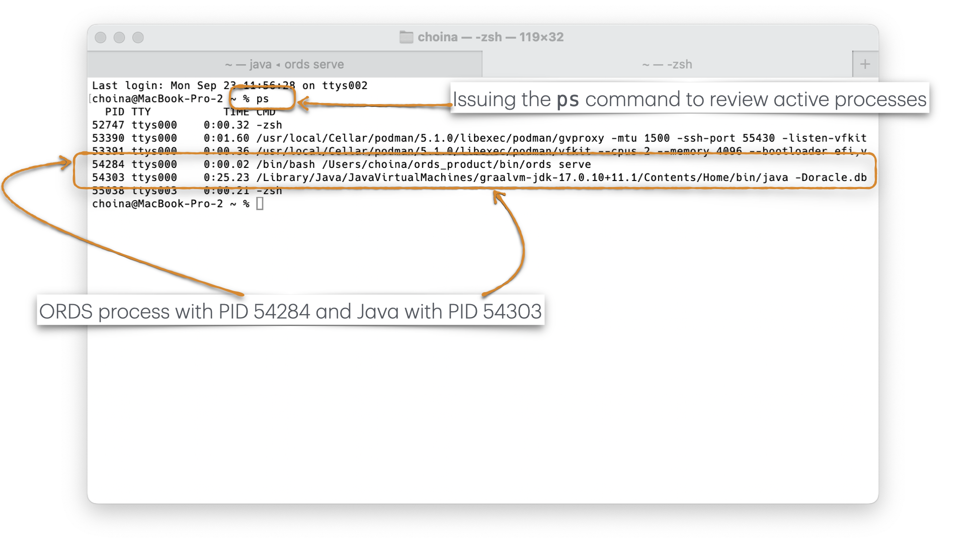 How to kill an ORDS process – Follow the Coffee