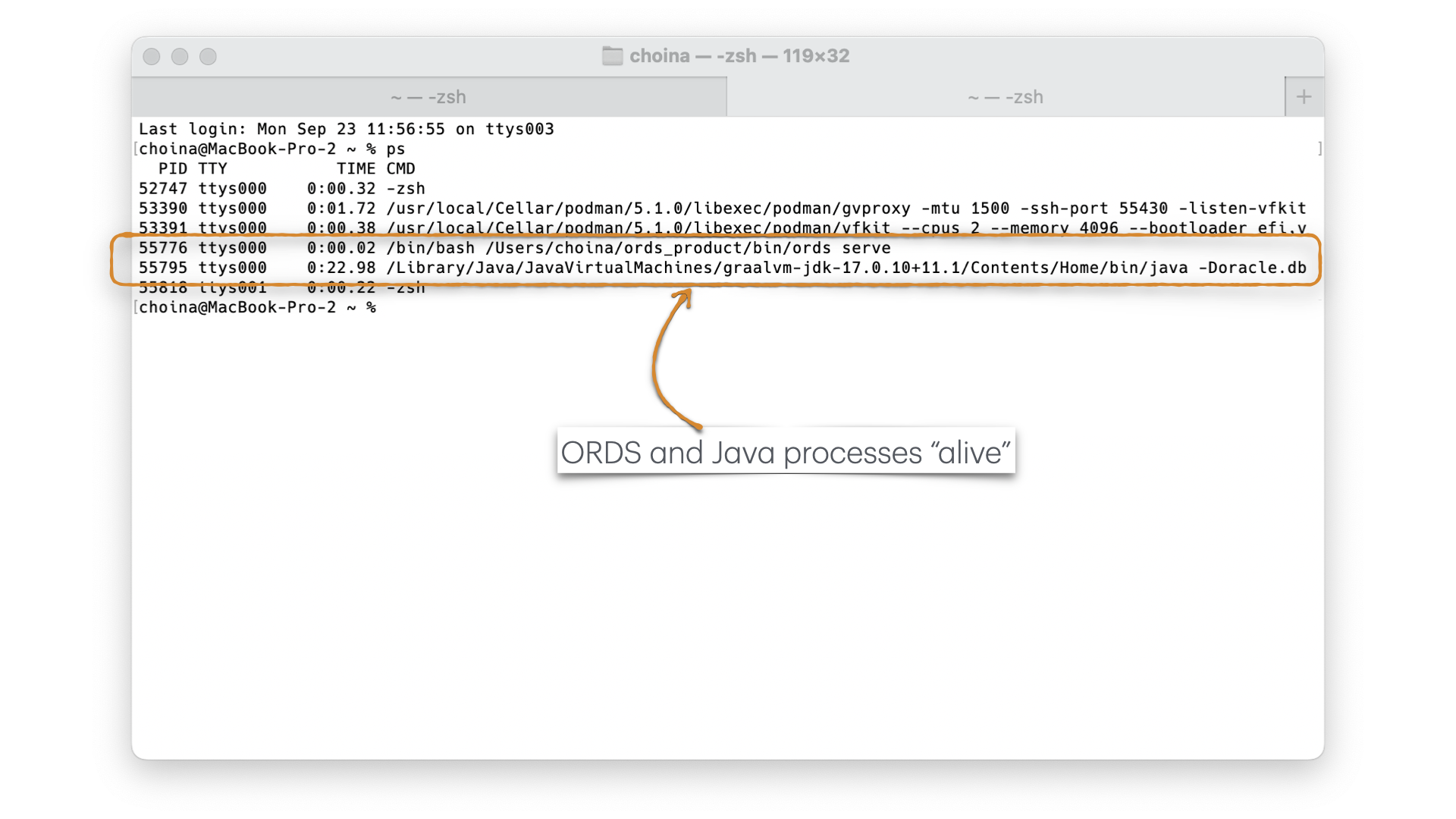 How to kill an ORDS process – Follow the Coffee