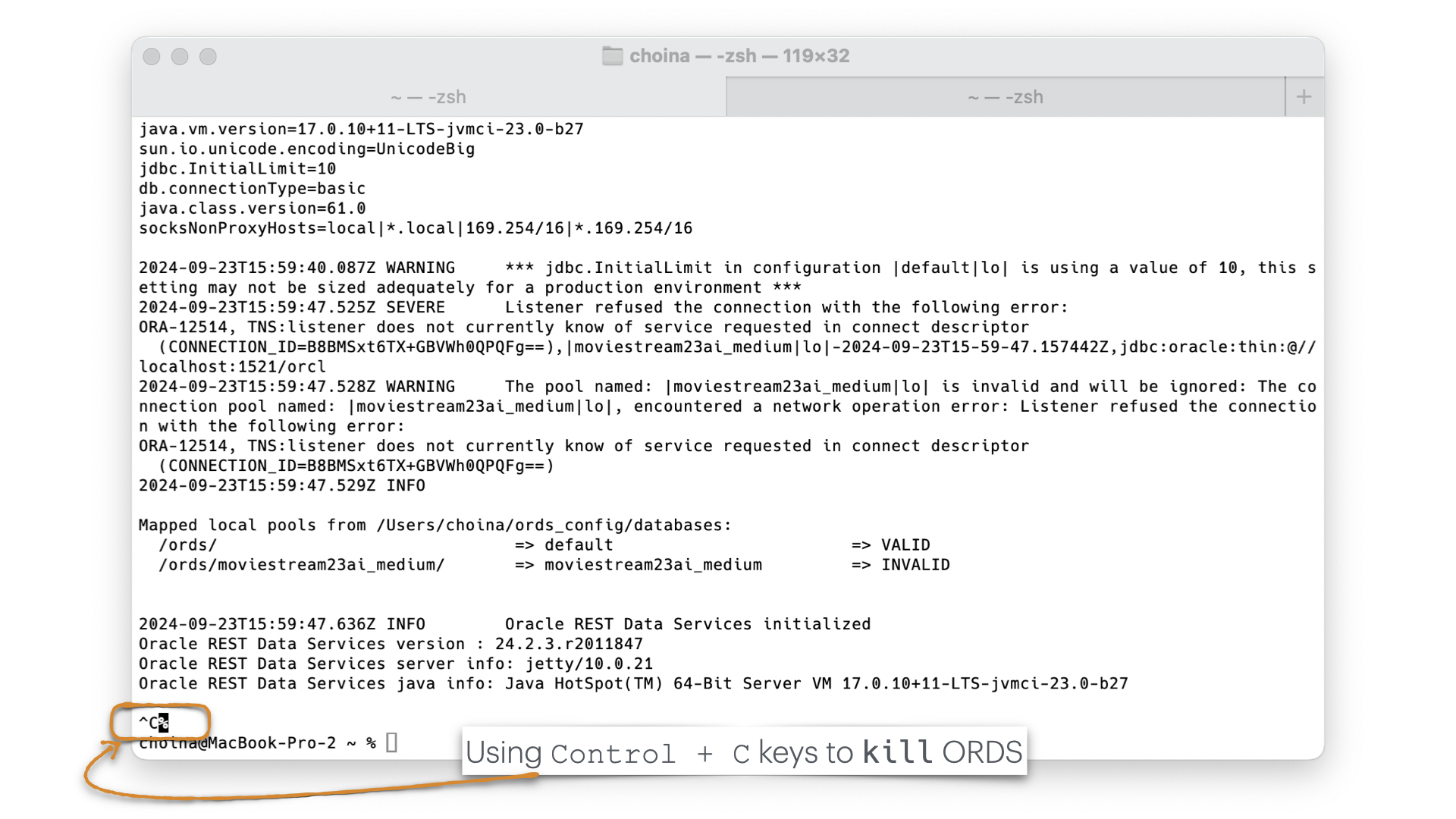How to kill an ORDS process – Follow the Coffee