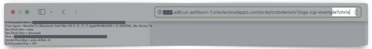 An ORDS GET request to retrieve CGI Environment variables from the PRINT_CGI_ENV PL/SQL ...
