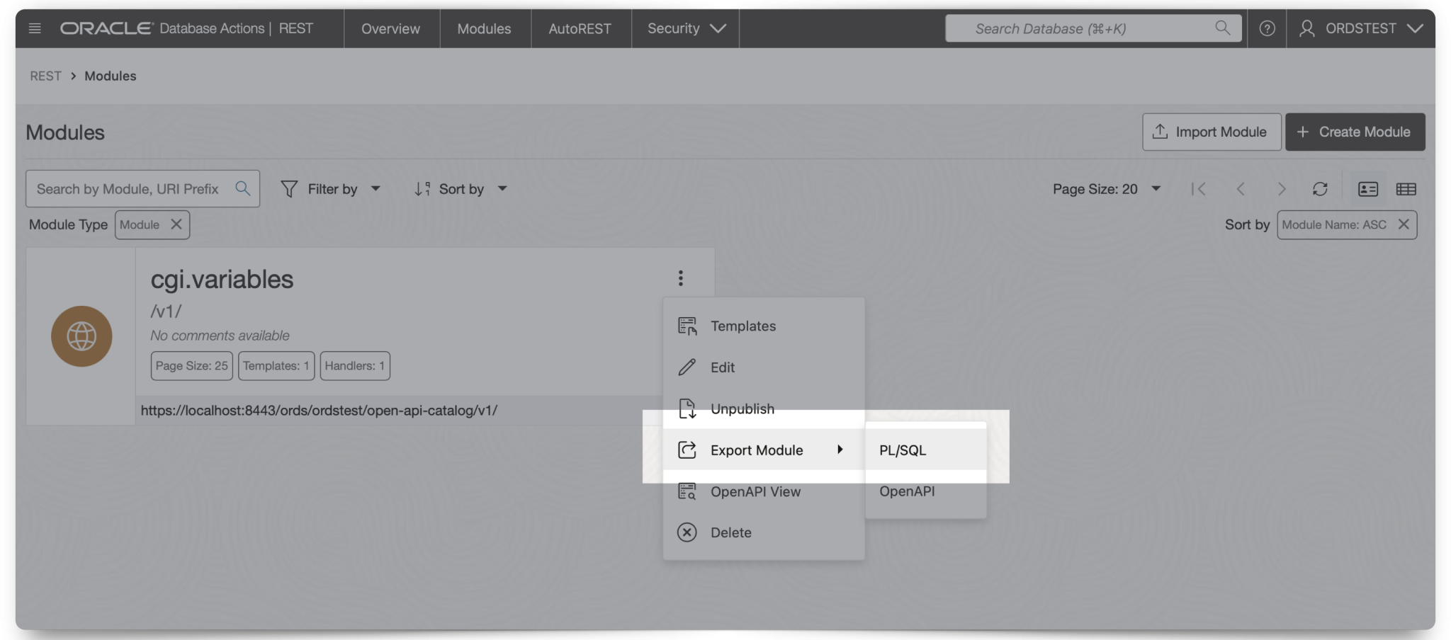 An ORDS GET request to retrieve CGI Environment variables from the PRINT_CGI_ENV PL/SQL ...